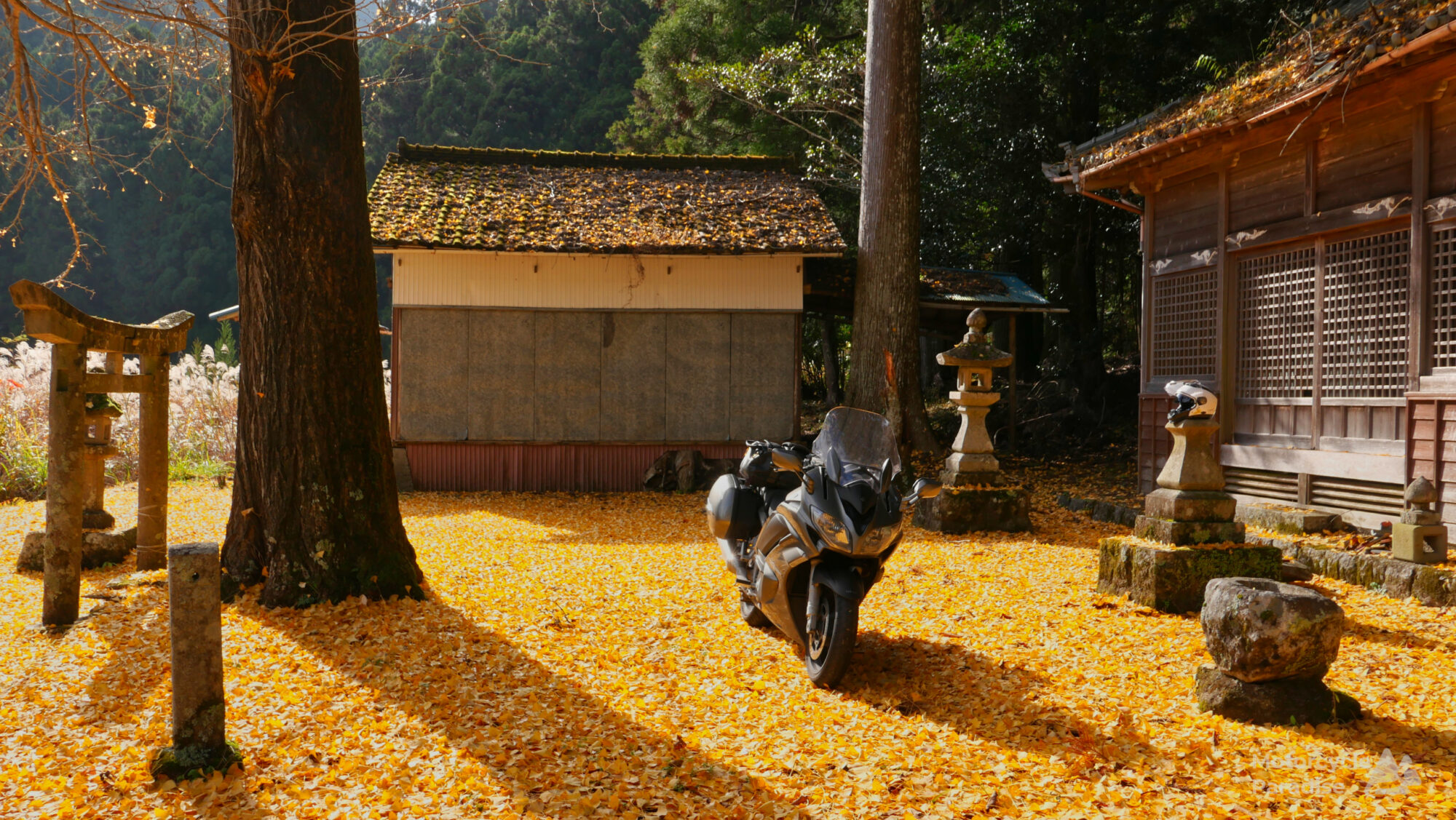 Canon G1XM3 Vs Lumix LX100M2 | Motorcycle Paradise